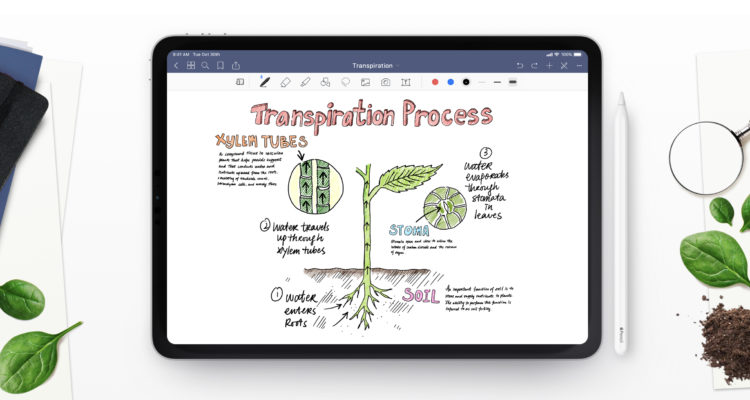 GoodNotes 5 – L’app indispensable pour assurer la continuité ...